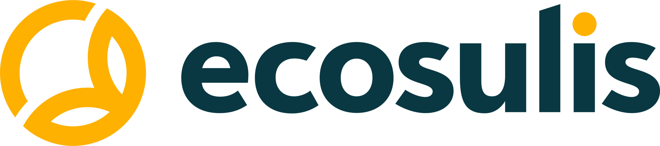 Ecosulis Ltd - Welsh ICE