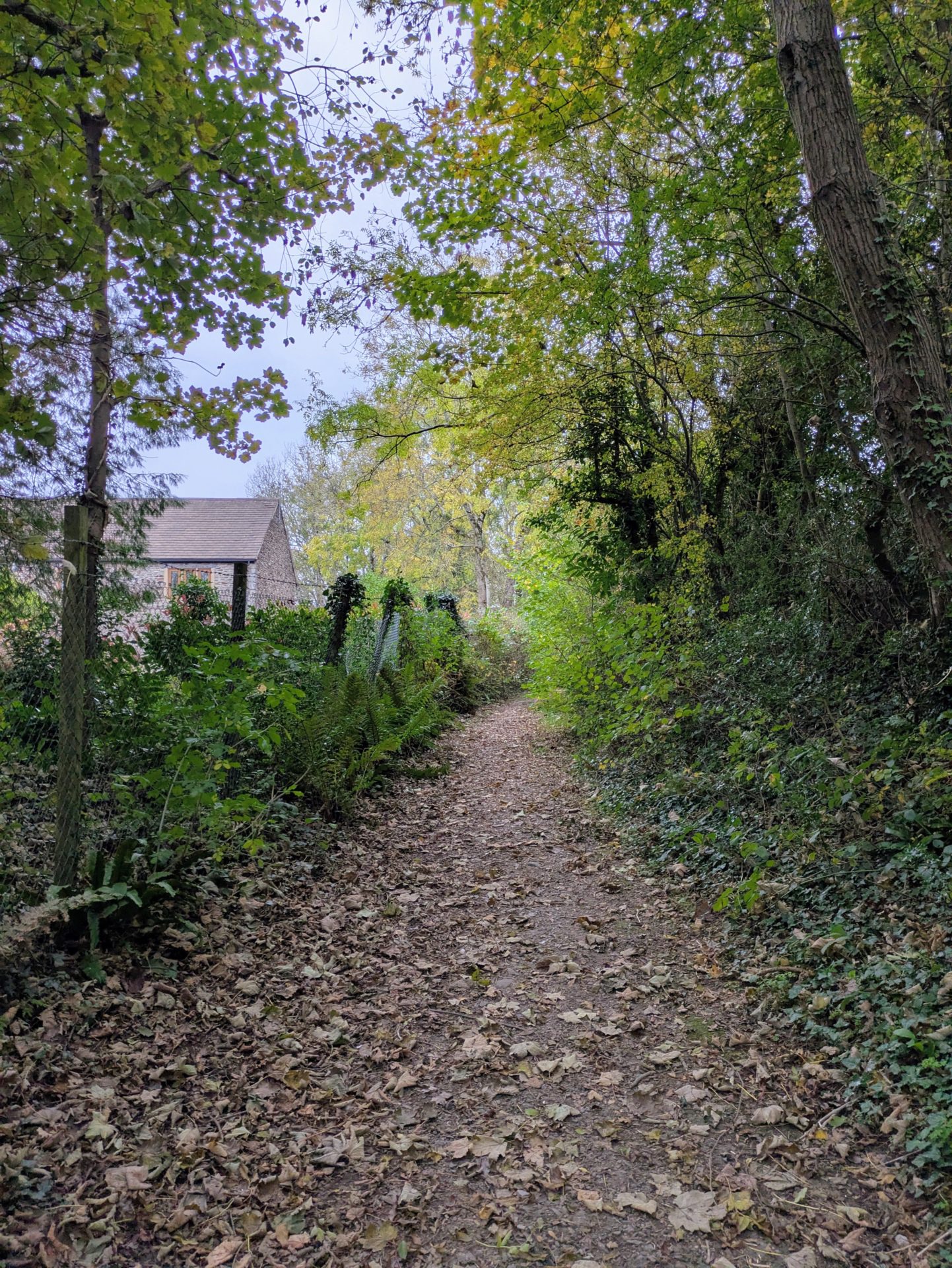 Lunchbreak Wanders: 20 Minutes to Reset and Explore - Welsh ICE